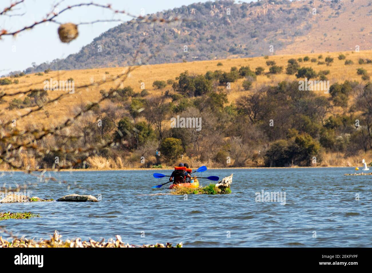 Kayaking on a lake Stock Photo - Alamy