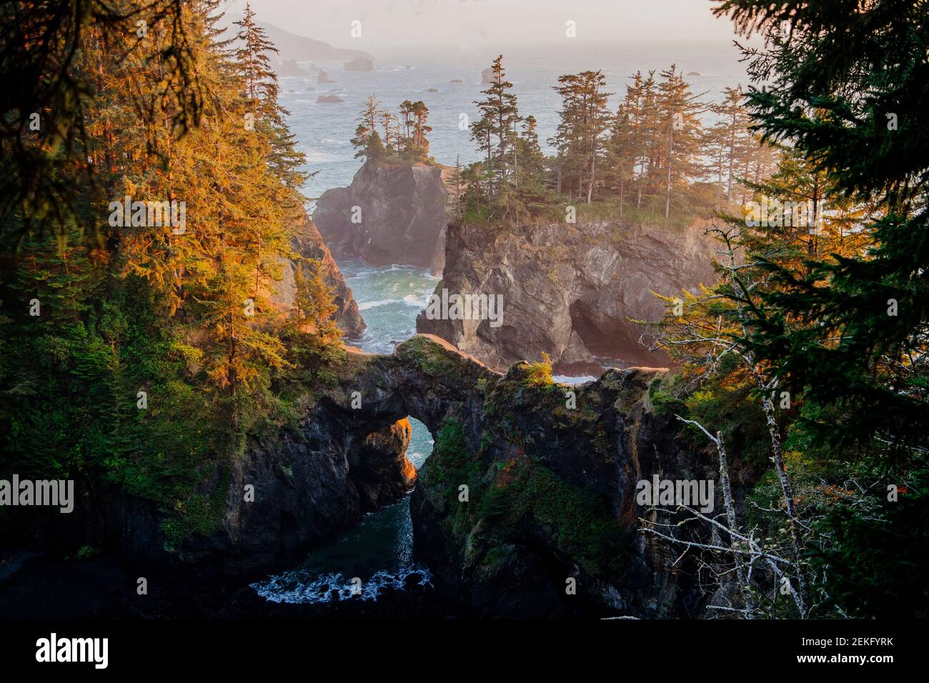 Rock bridge state park hi-res stock photography and images - Alamy
