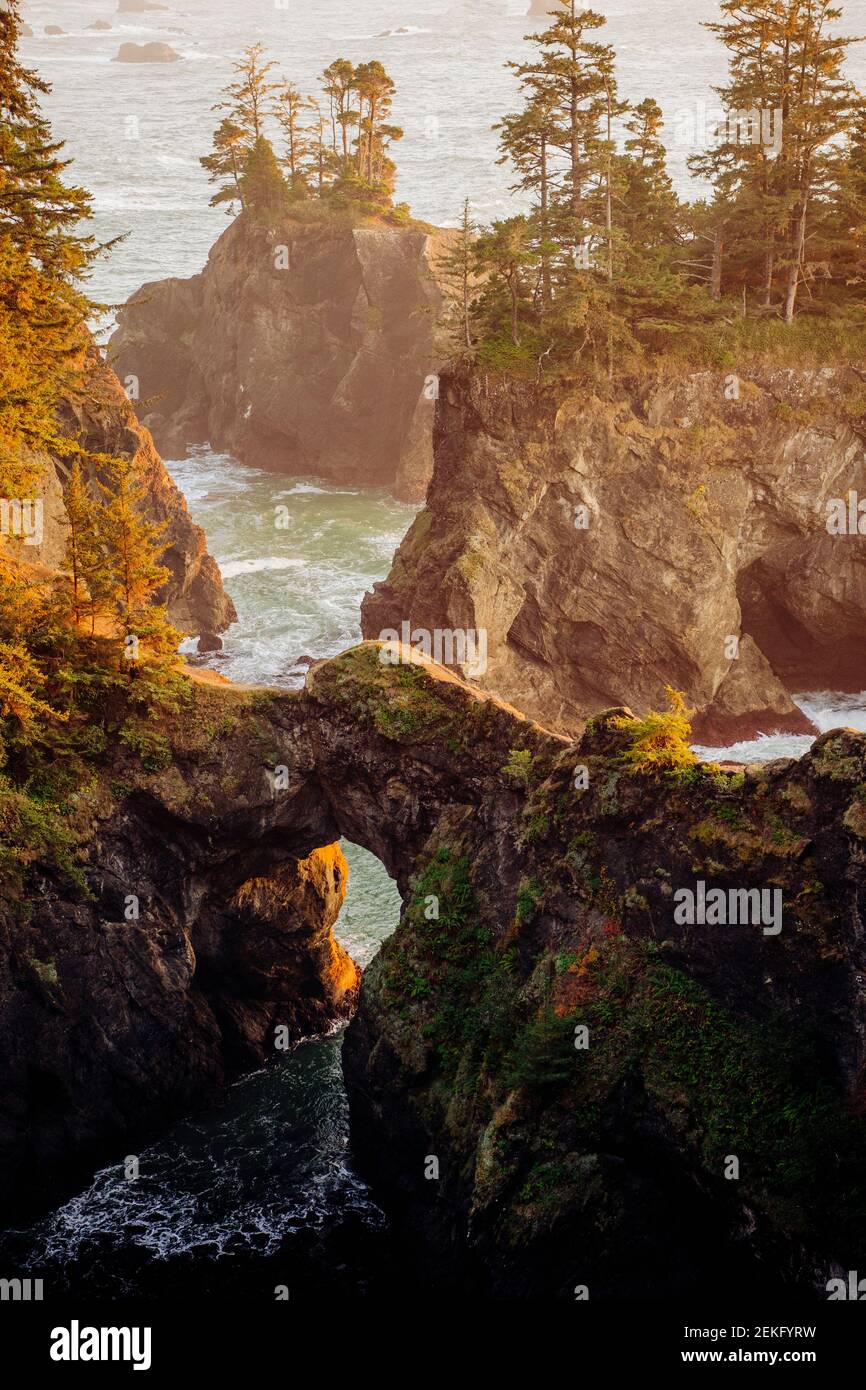 Natural bridge rock formation in sunset light, Samuel H. Boardman State ...