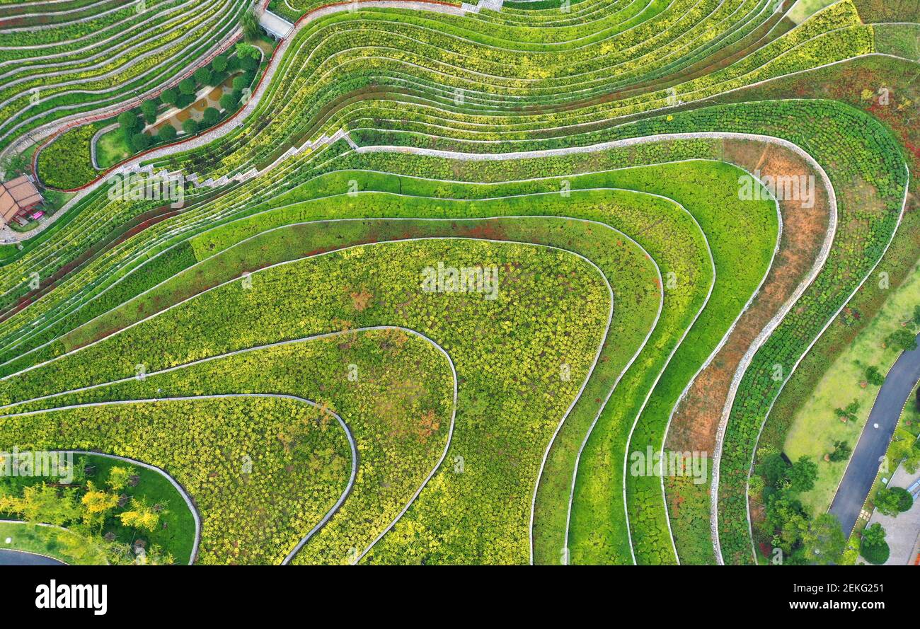 Aerial view of the terraces in Bijie city, south China's Guizhou ...
