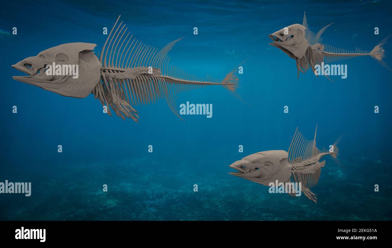 three fish skeletons swimming under the sea, 3d illustration Stock ...