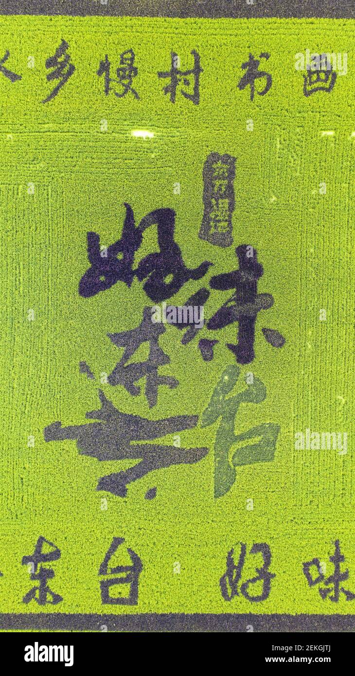 DONGTAI, CHINA - AUGUST 29, 2020 - Aerial photo of "Dong Yong Fairy ...