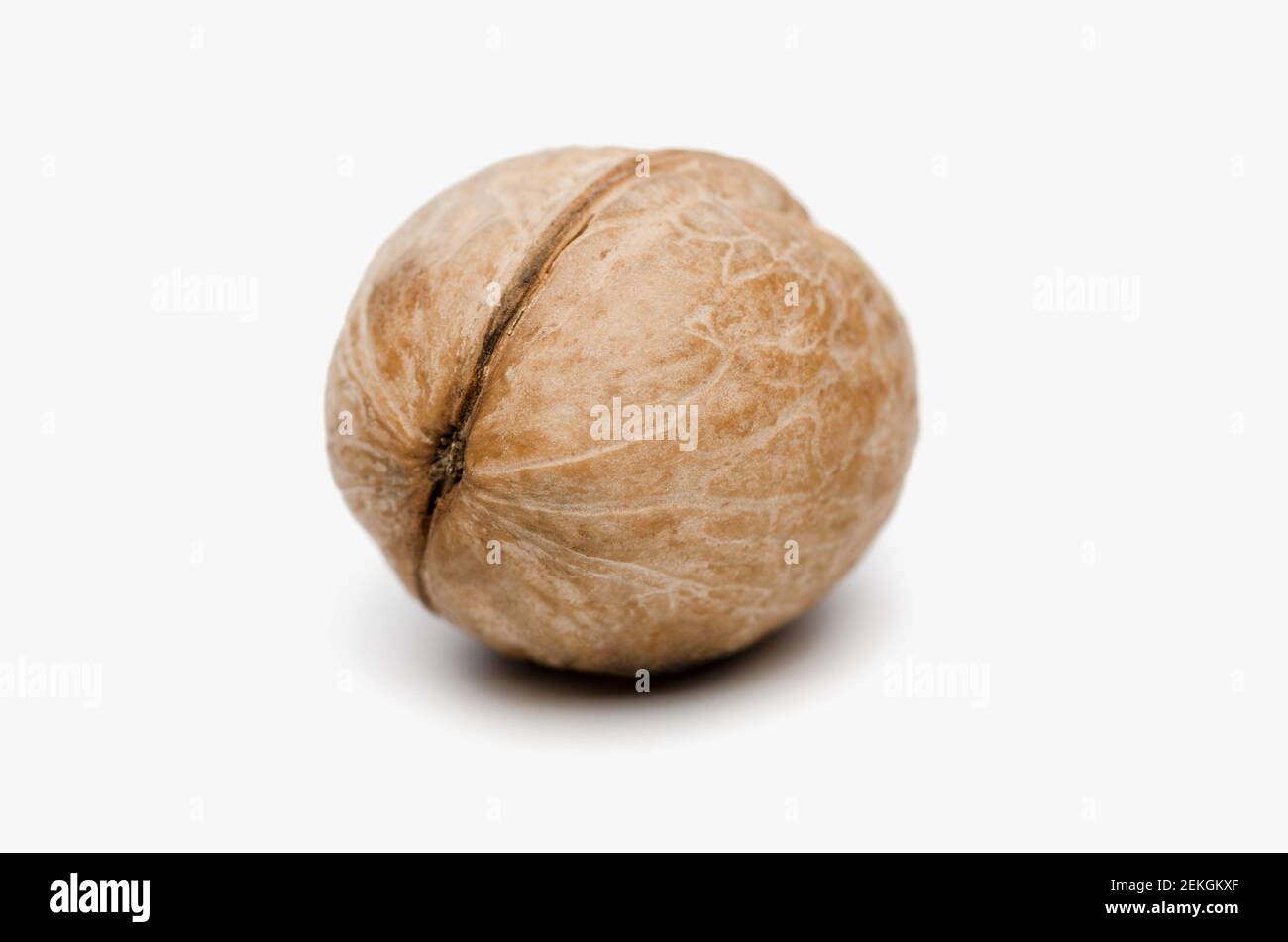 Authentic california walnut akhrot in shell isolated on white ...