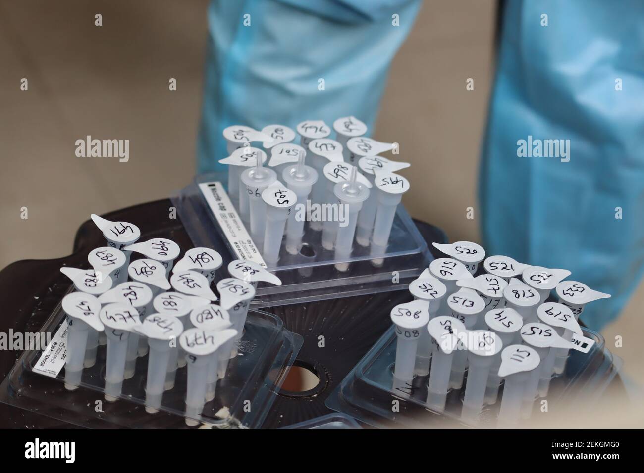 A Healthcare workers wearing PPE during for COVID-19 screening and ...