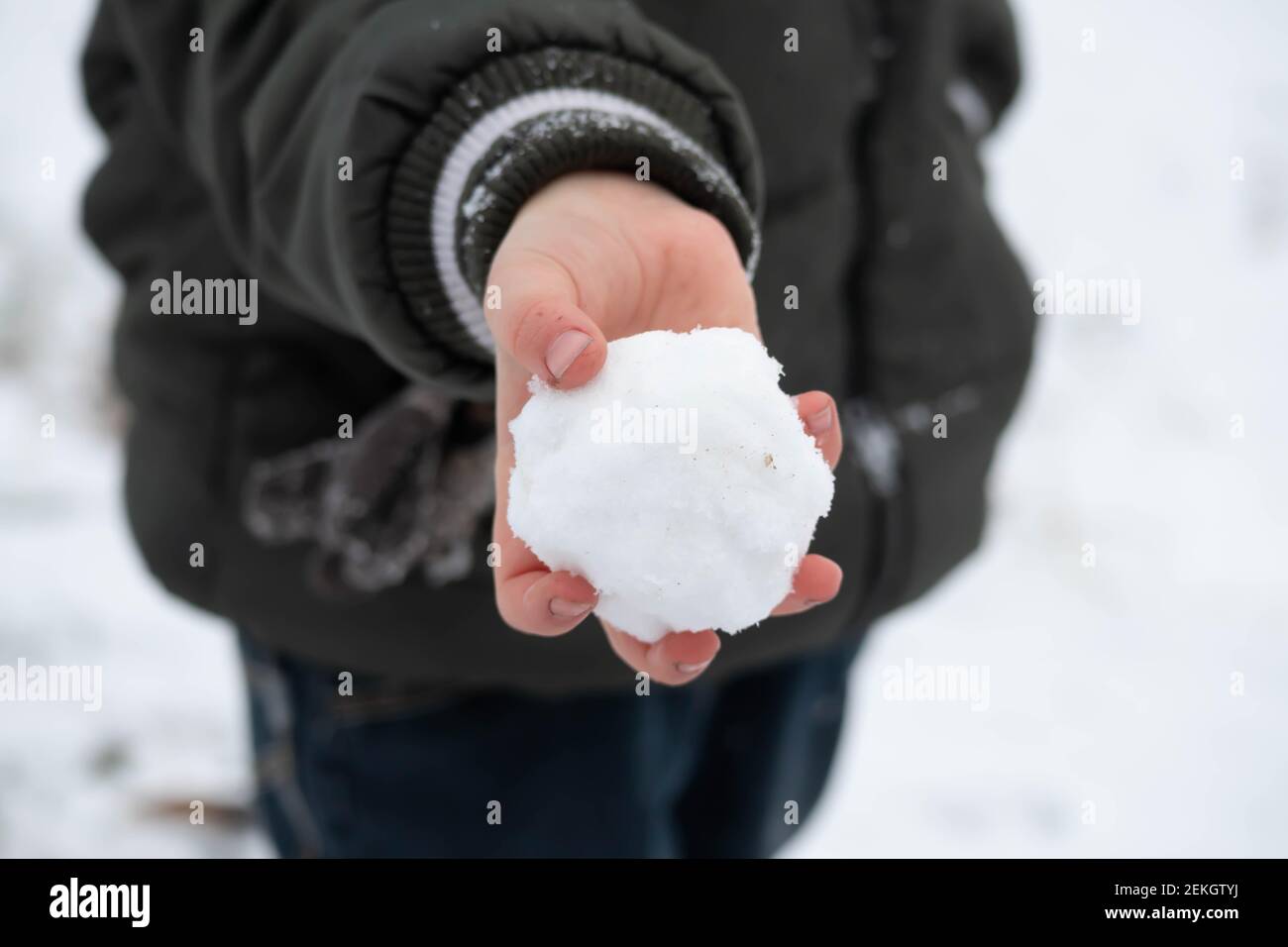 A child's hand holding a round snowball Stock Photo - Alamy