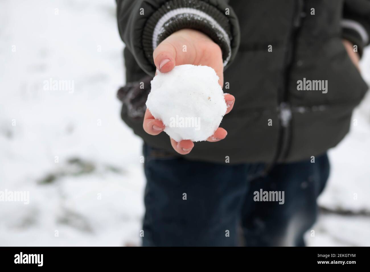 A child's hand holding a round snowball Stock Photo - Alamy