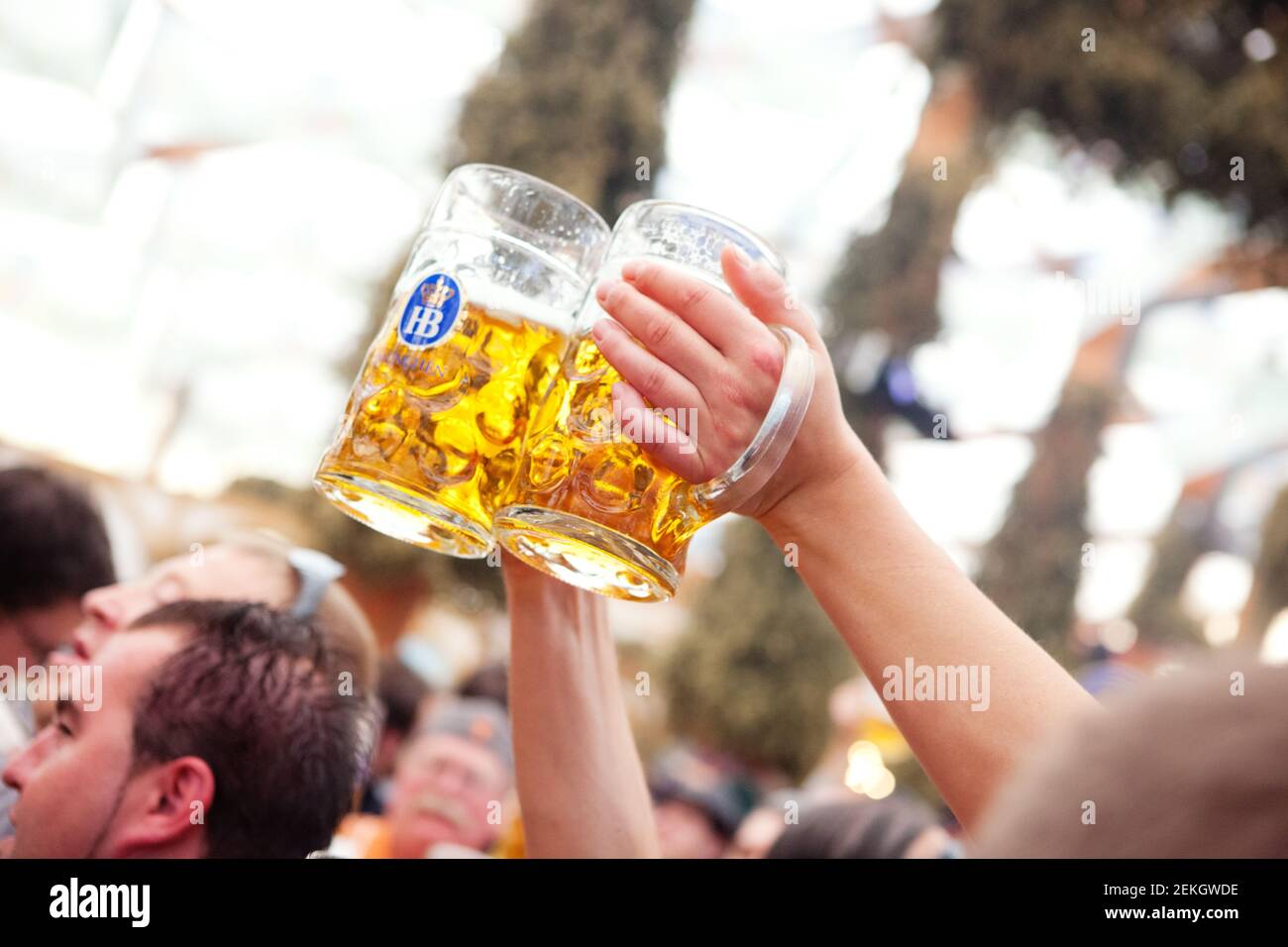 Hands holding beer mugs hi-res stock photography and images - Alamy