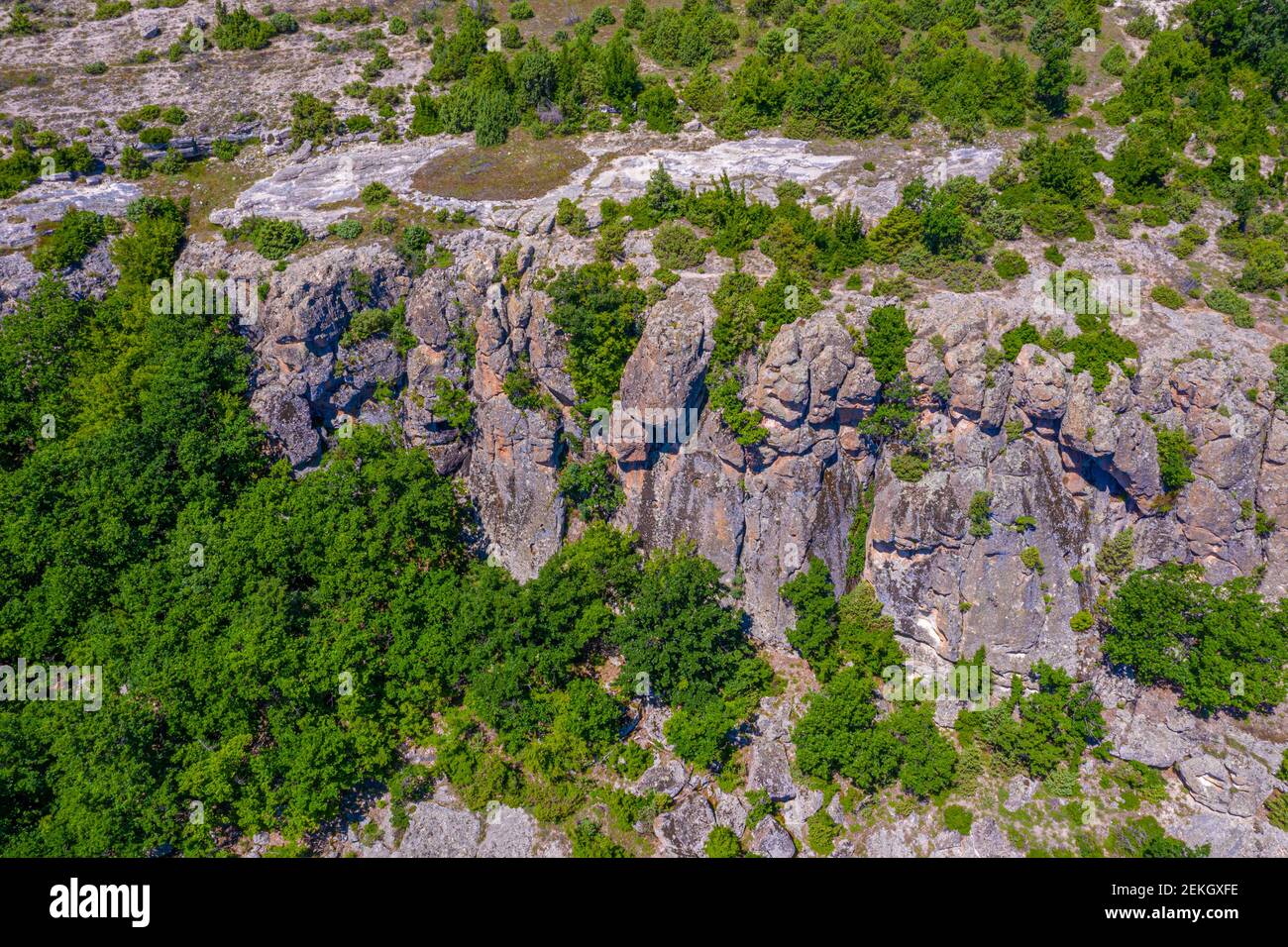 Valley of a small creek in the Eastern Rhodopes mountains in Bulgaria ...