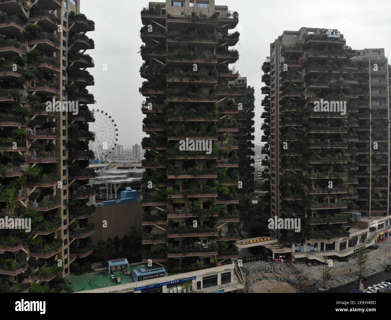 Eight 30-storey apartment buildings, which are all covered by green as ...