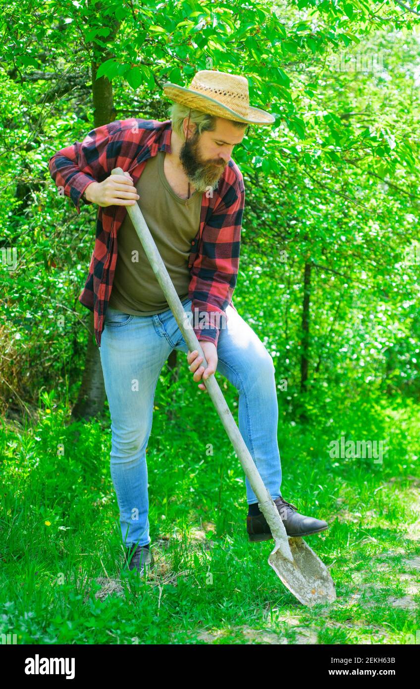 Man with shovel in garden. Eco-farm. Male with gardening tools ...