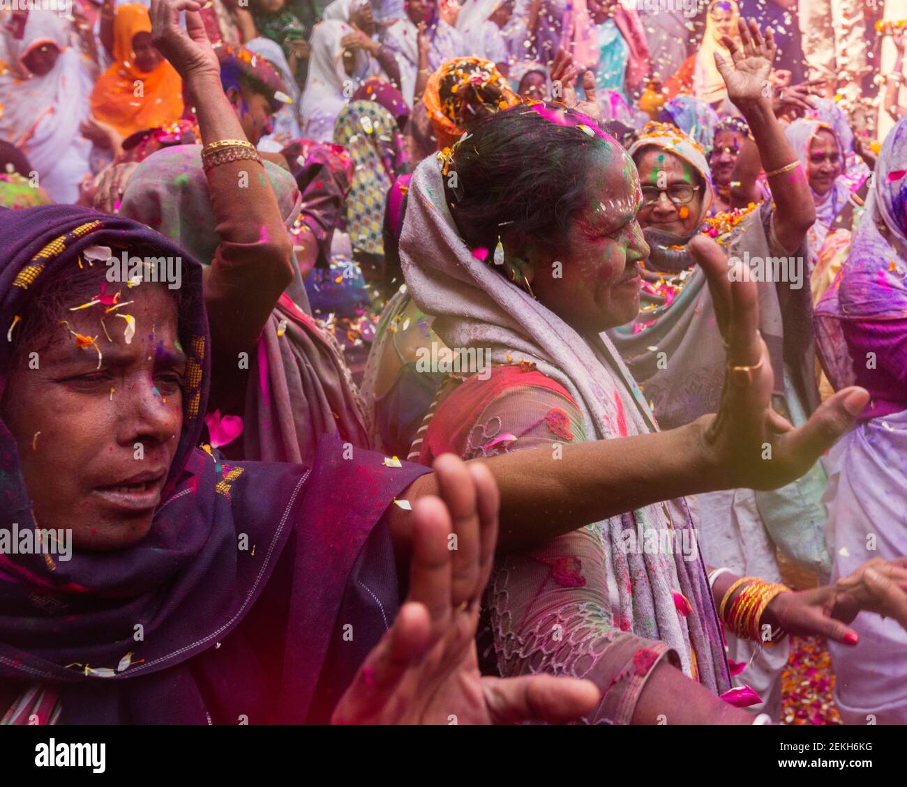 India Vrindavan Devotees at the Widow's Holi held at Gopinath Temple ...