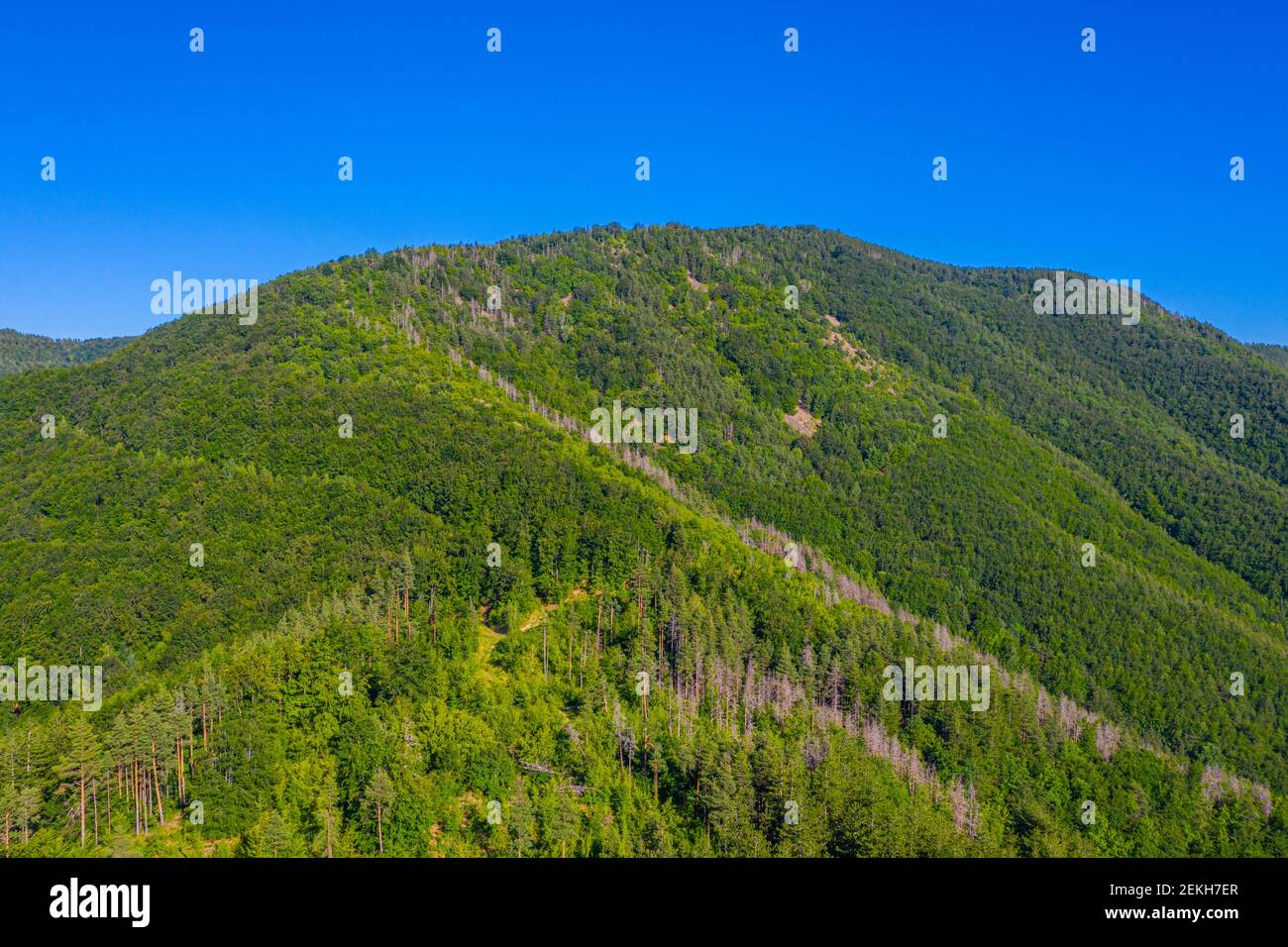 Landscape of Eastern Rhodopes mountain in Bulgaria near Kardzhali town ...