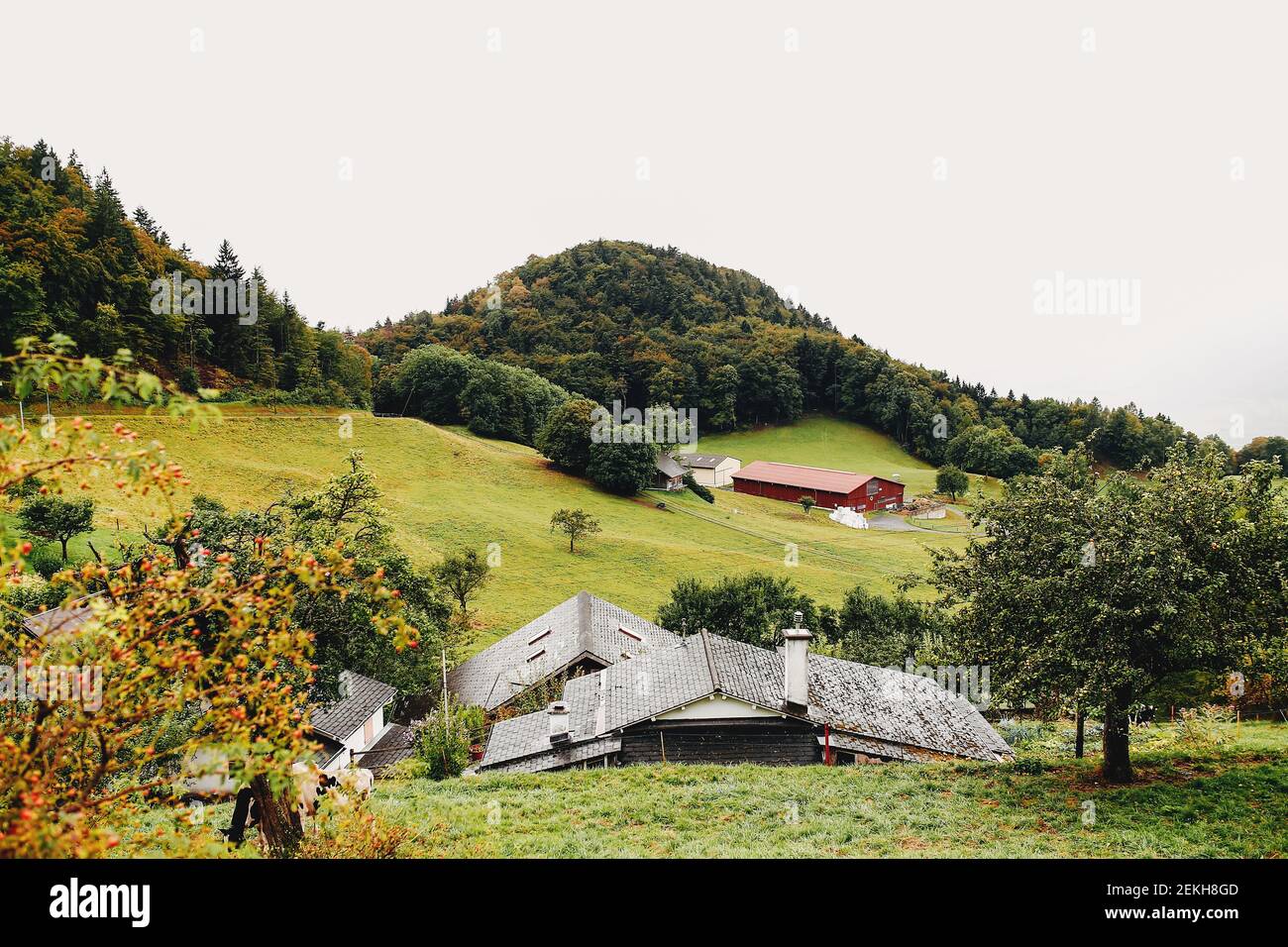 Switzerland In September High Resolution Stock Photography and Images ...