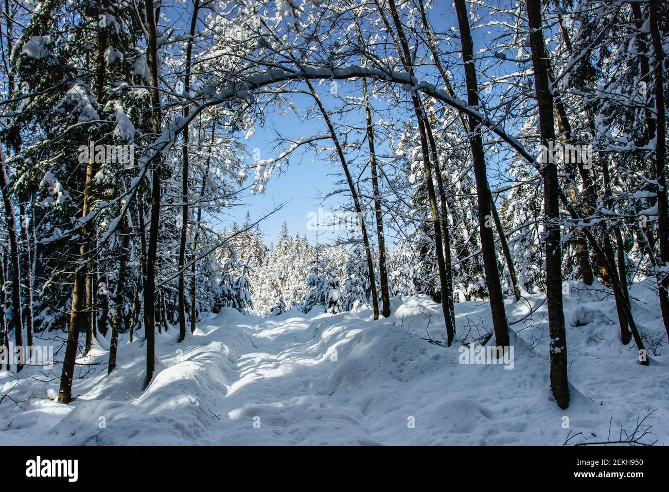 Freezing cold but sunny winter day hi-res stock photography and images ...
