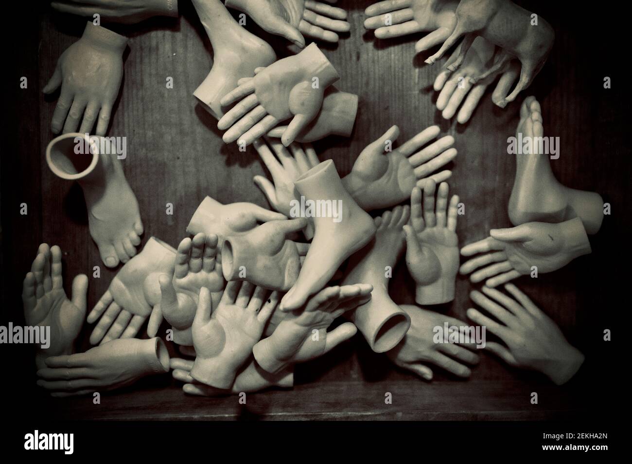 Rubber hands and feet for dolls in this moody conceptual photograph ...