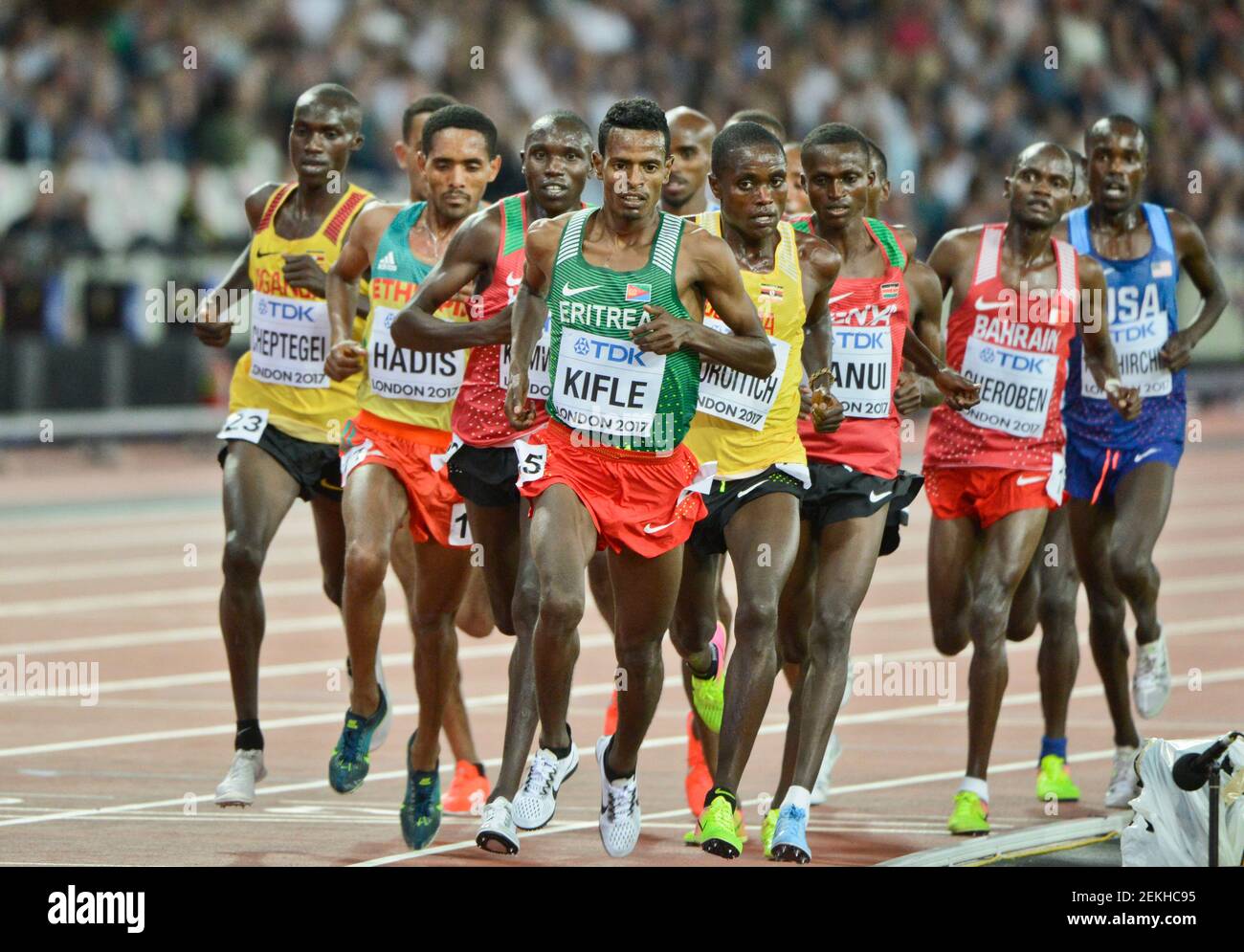 Timothy toroitich hi-res stock photography and images - Alamy