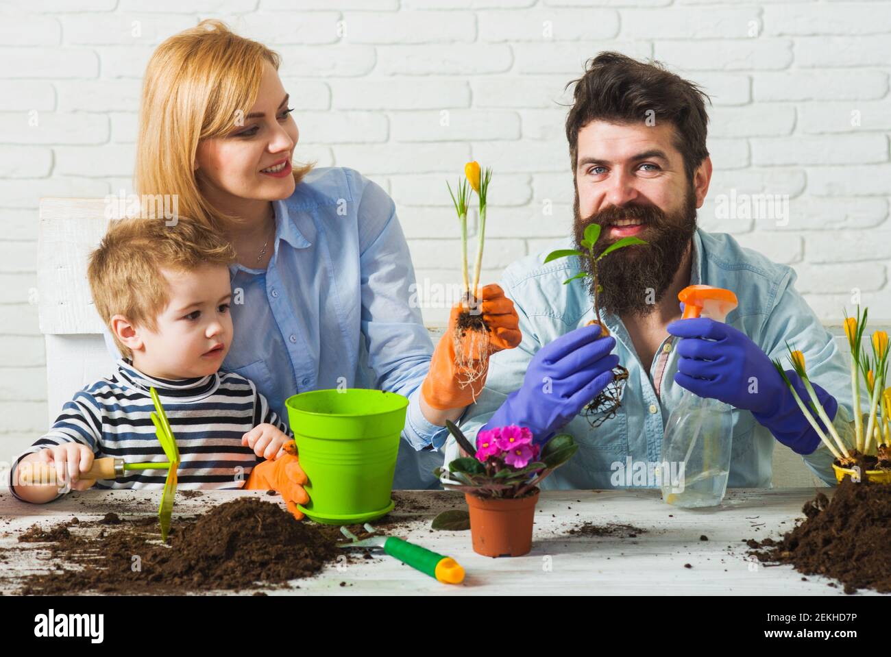 Parents flower hi-res stock photography and images - Alamy