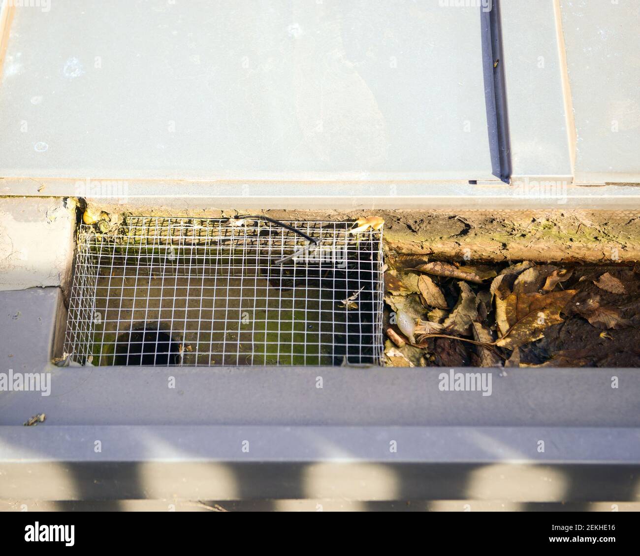 Rain falling into gutter hi-res stock photography and images - Alamy