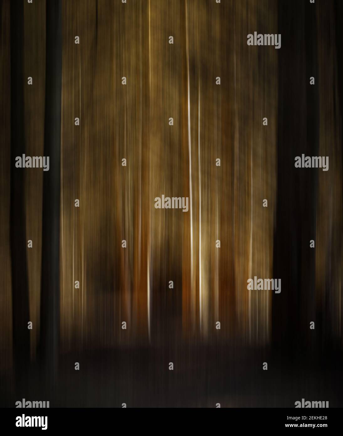 Treatment of trees hi-res stock photography and images - Alamy