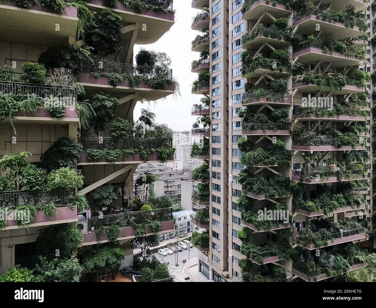 Eight 30-storey apartment buildings, which are all covered by green as ...