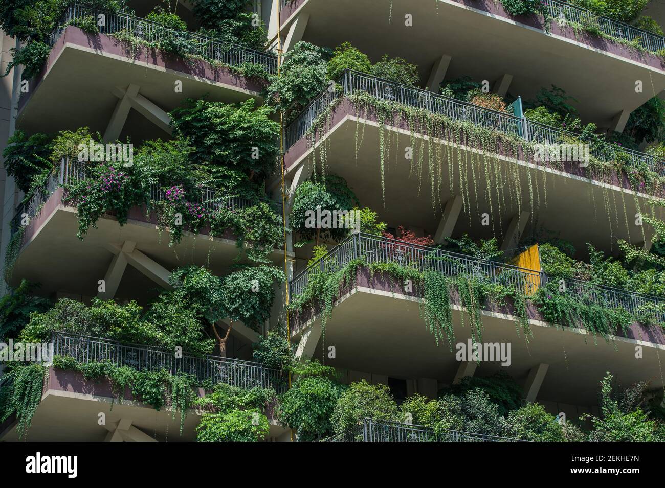 Eight 30-storey apartment buildings, which are all covered by green as ...