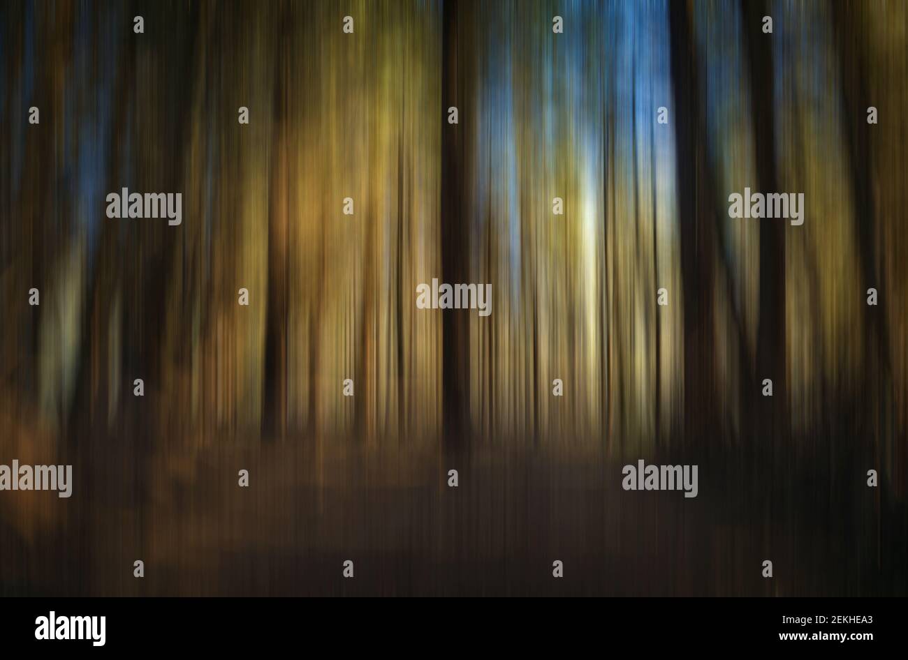 Treatment of trees hi-res stock photography and images - Alamy