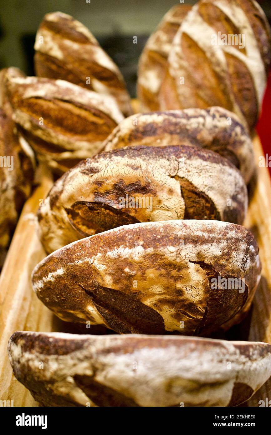 Kate wheatcroft hi-res stock photography and images - Alamy