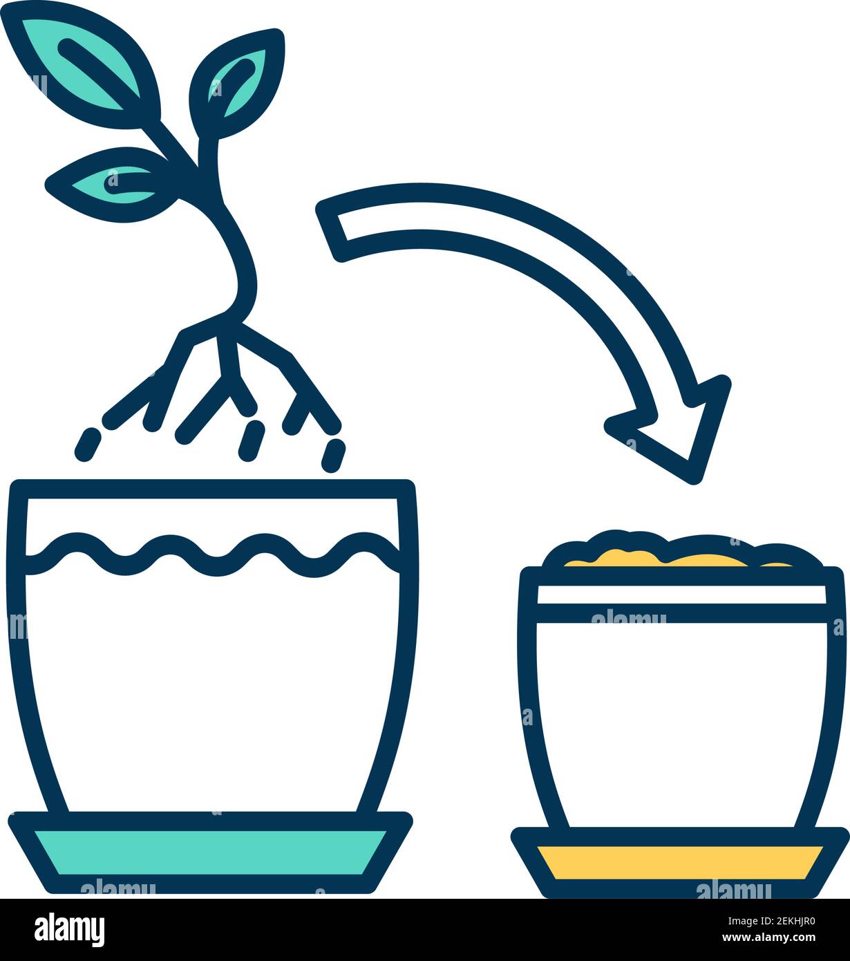 Plant transplant RGB color icon Stock Vector Image & Art - Alamy