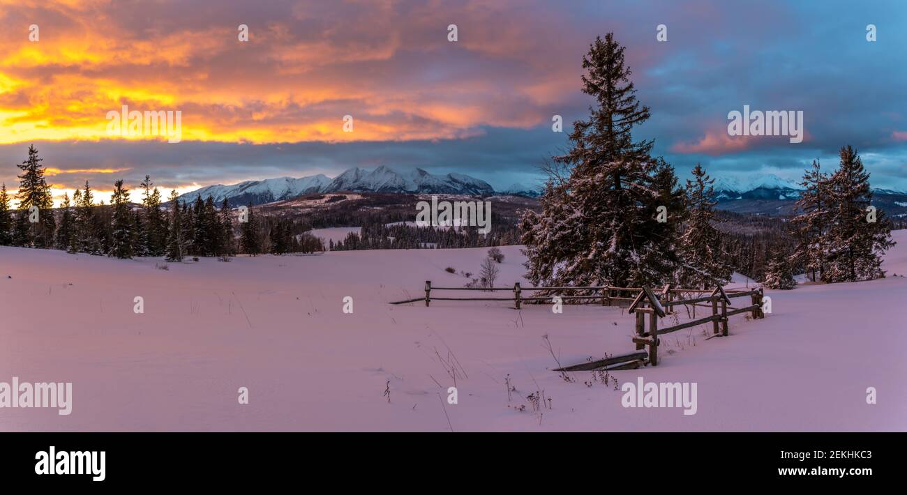 Beautiful winter landscape scene hi-res stock photography and images ...