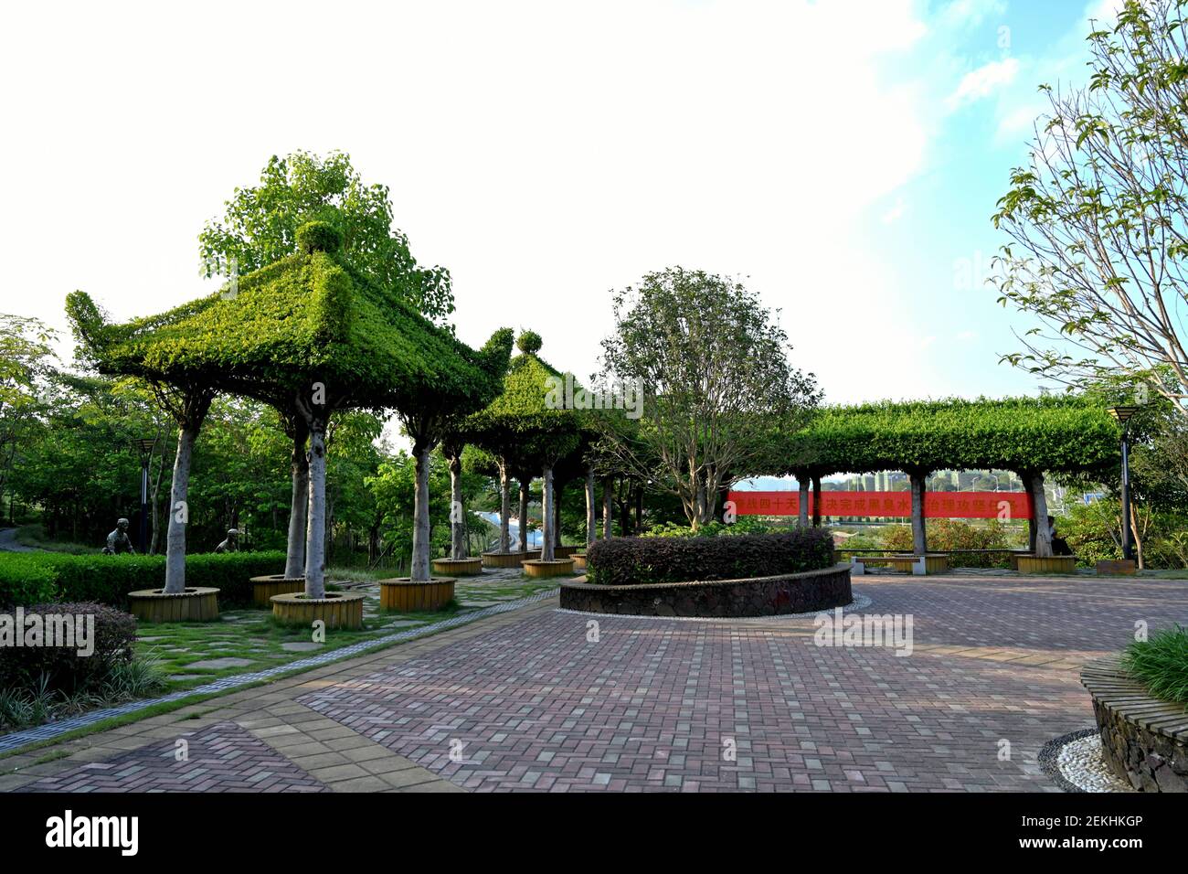 24 landscape trees in Nakao River Wetland Park are trimmed into two ...