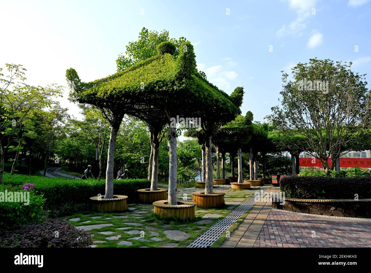 24 landscape trees in Nakao River Wetland Park are trimmed into two ...