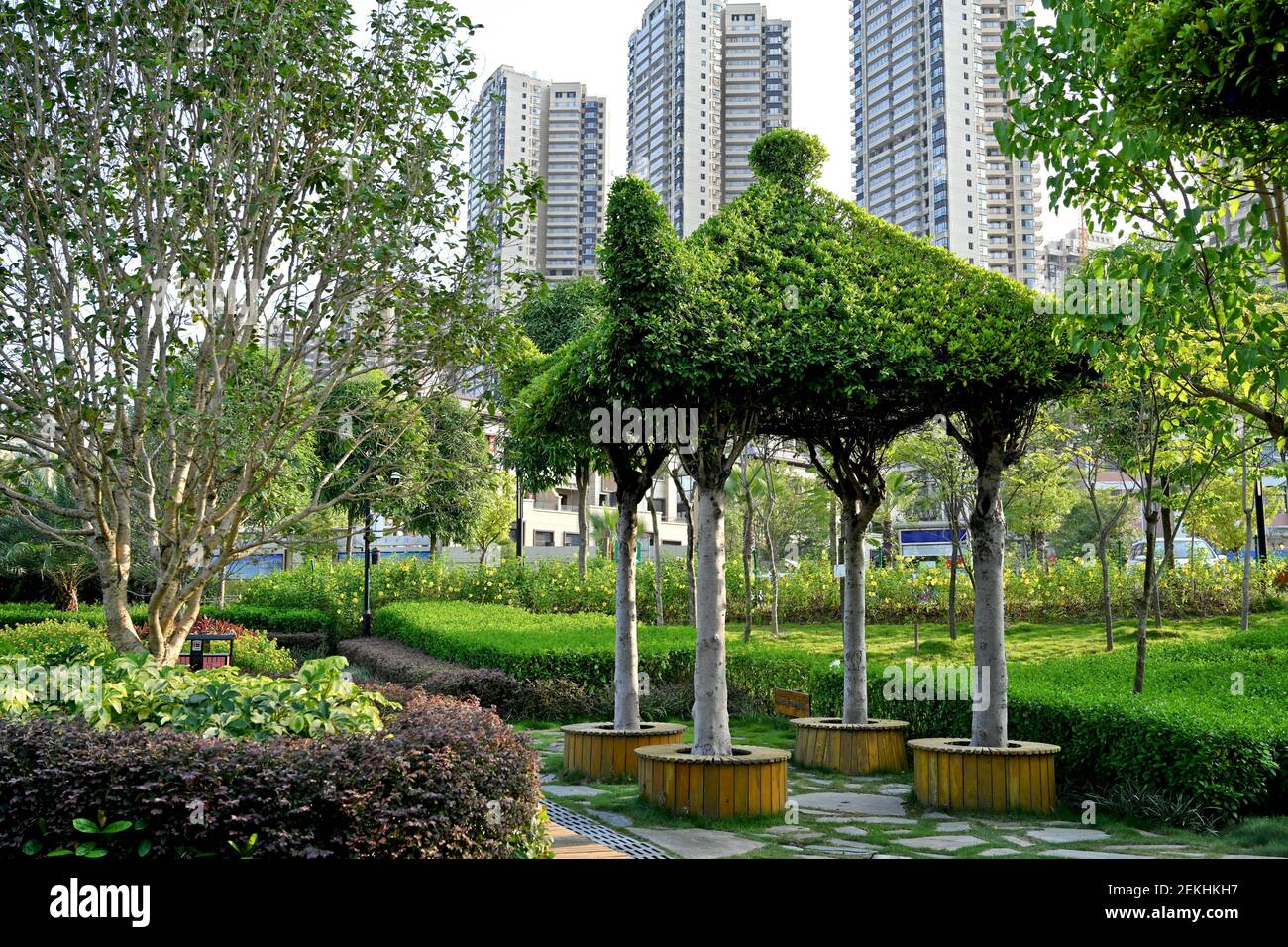24 landscape trees in Nakao River Wetland Park are trimmed into two ...