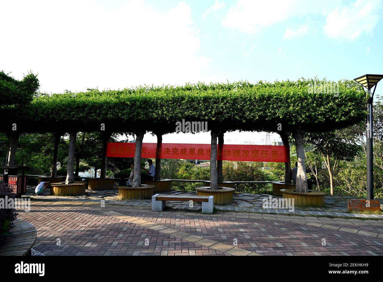 24 landscape trees in Nakao River Wetland Park are trimmed into two ...