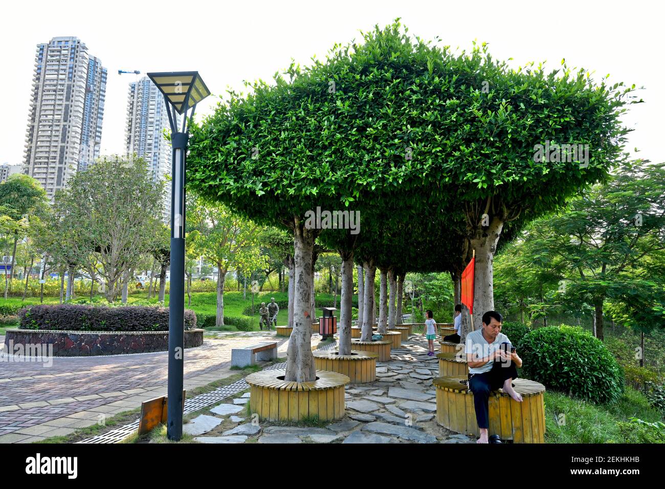 24 landscape trees in Nakao River Wetland Park are trimmed into two ...