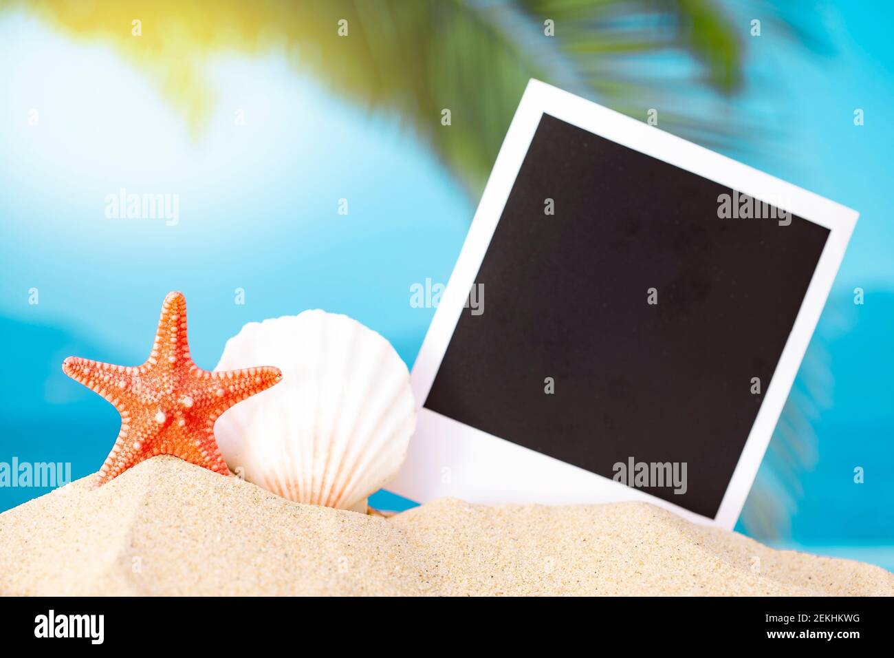 Summer background with a blank vintage photo Stock Photo - Alamy