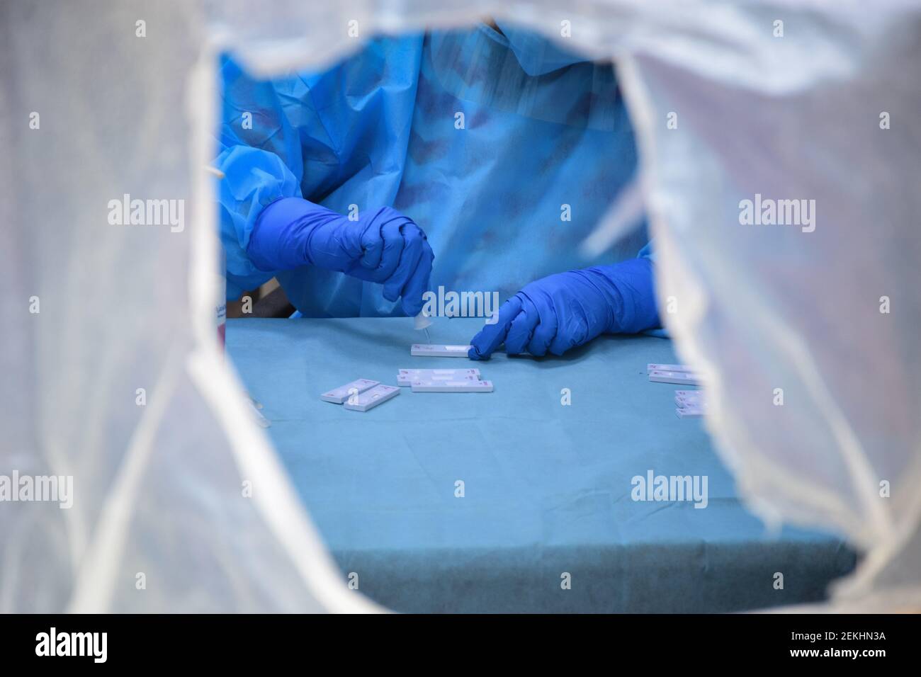 A health worker pours a swab sample onto a screen plate for Covid-19 ...