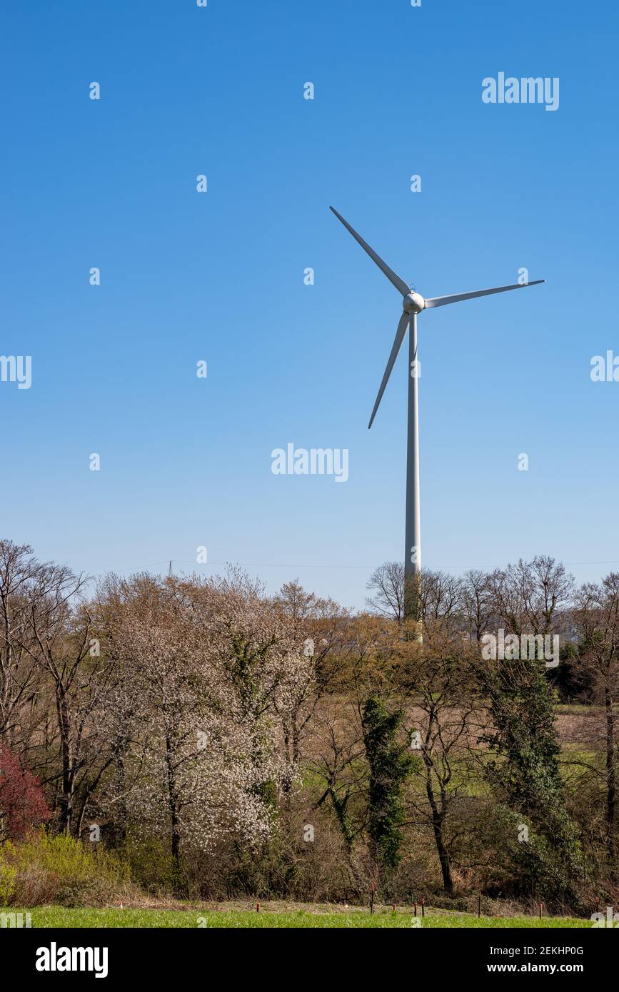 Wind turbine against blue sky, blooming wild cherry tree and and fields ...