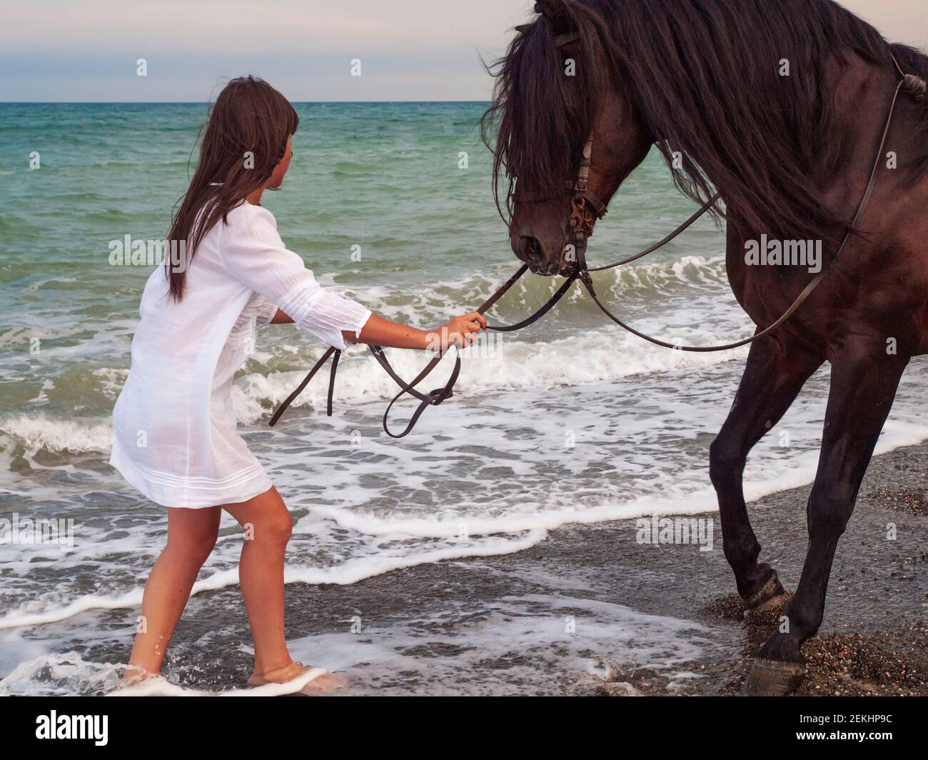 Horse riding beach barefoot hi-res stock photography and images - Alamy