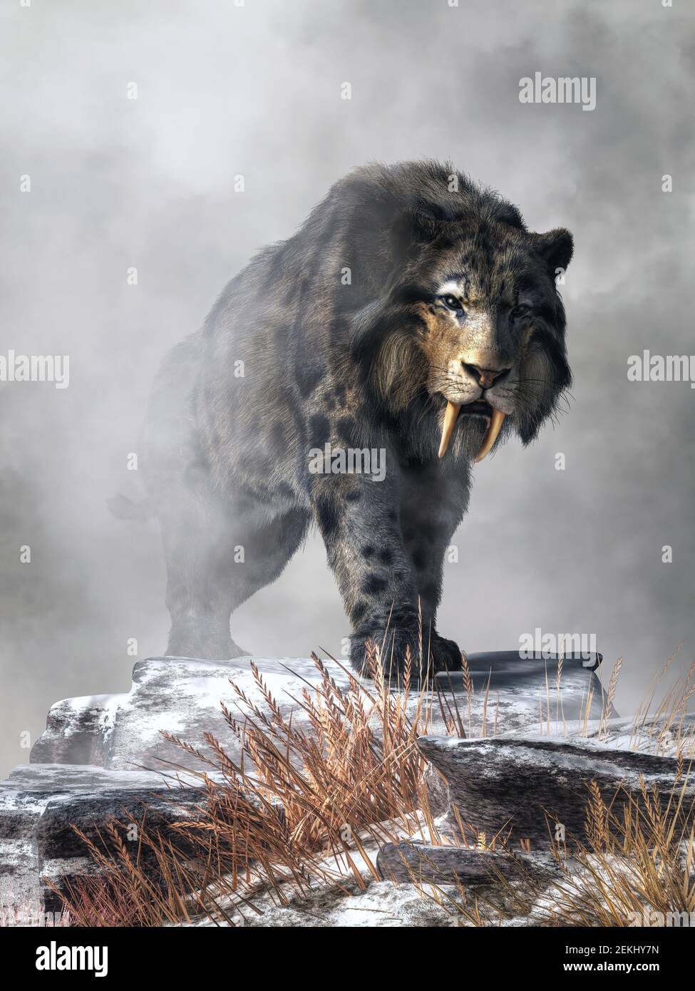 A saber tooth cat with long fur emerges from from the fog on a snowy ...
