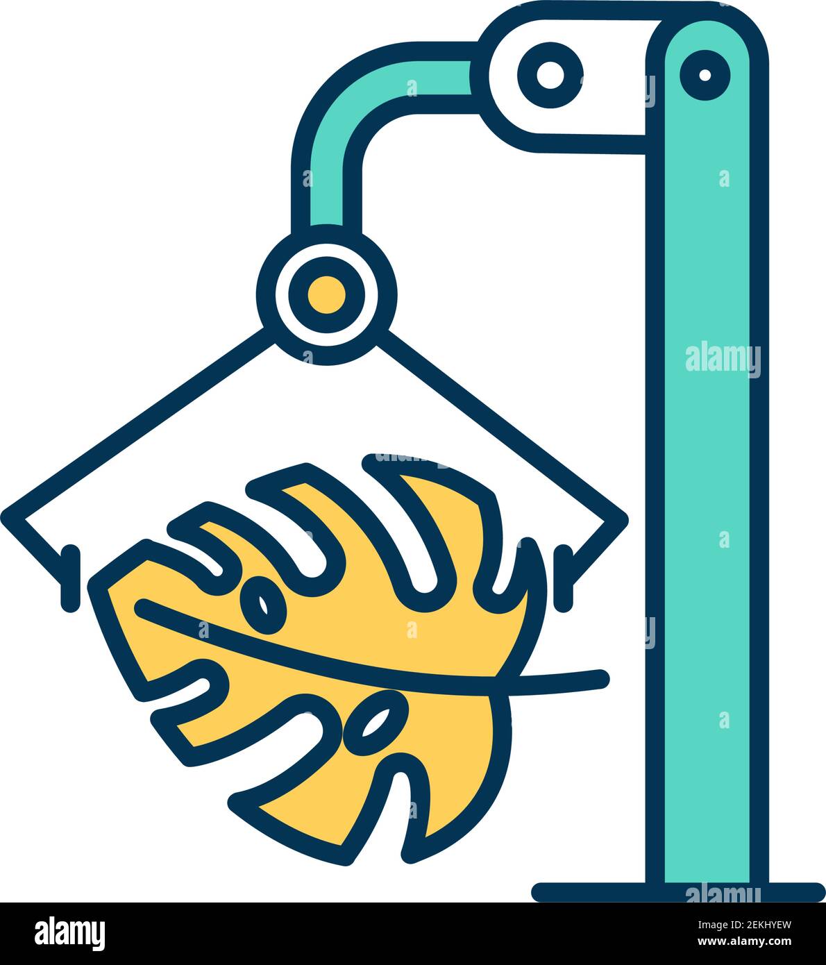 Keeping houseplants alive RGB color icon Stock Vector Image & Art - Alamy