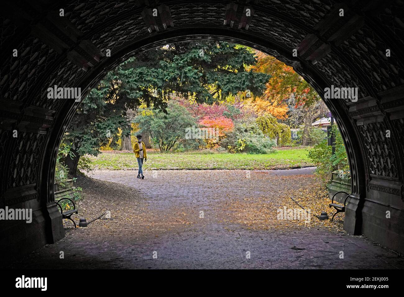 Shell arch hi-res stock photography and images - Alamy