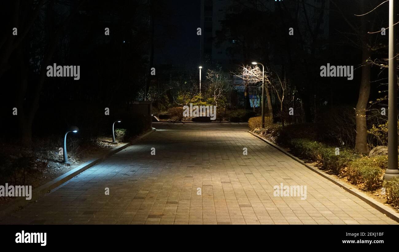 Night street of korea hi-res stock photography and images - Alamy