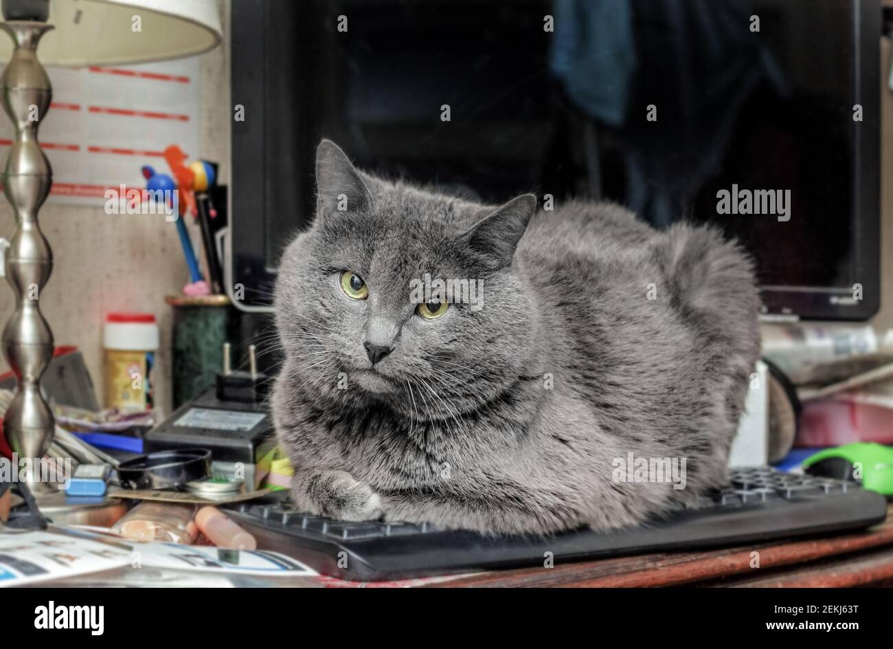 Real life concept computer hi-res stock photography and images - Alamy