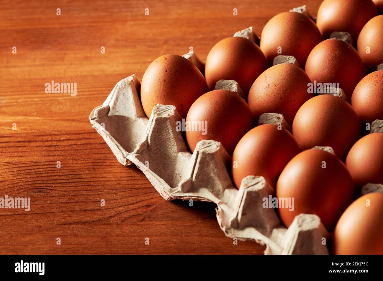chicken egg shot close-up in the studio Stock Photo - Alamy