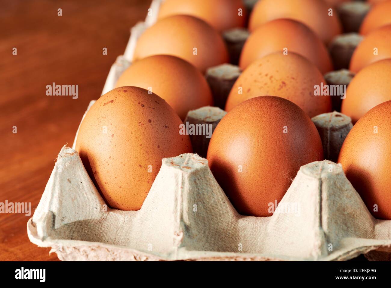 chicken egg shot close-up in the studio Stock Photo - Alamy