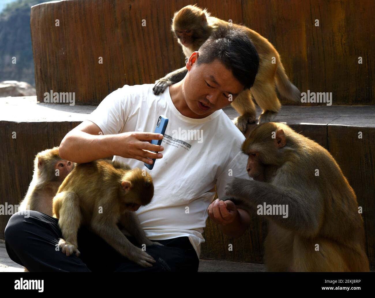 JIYUAN, CHINA - SEPTEMBER 12, 2020 - A staff member broadcasts the life ...