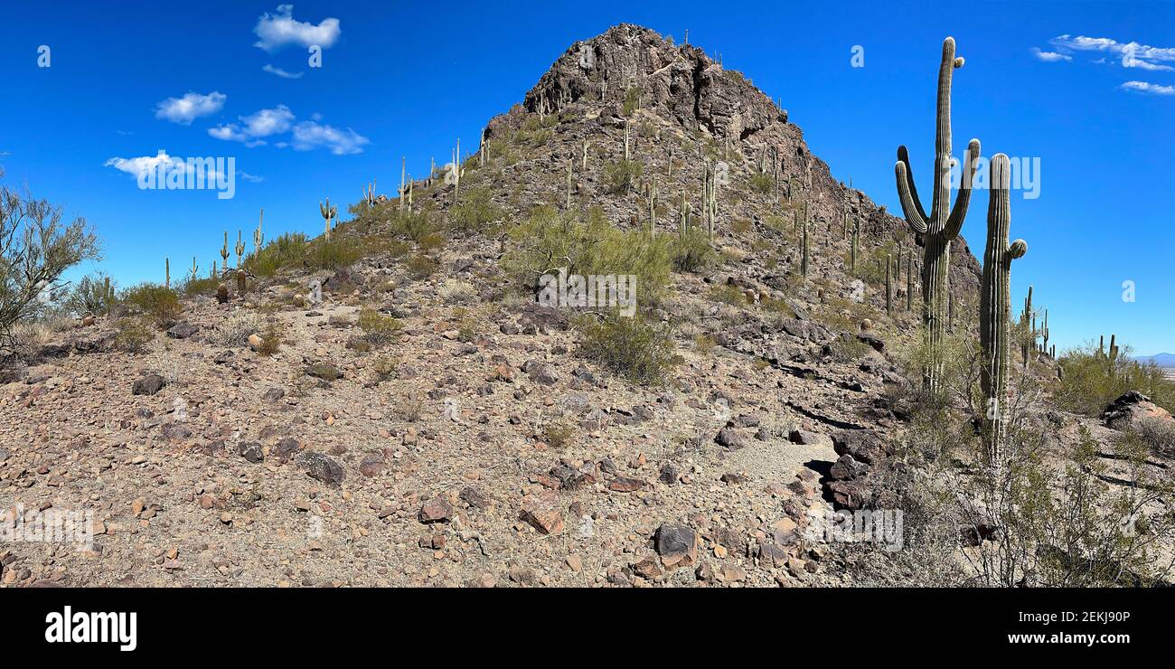 Picacho peak wilderness hi-res stock photography and images - Alamy