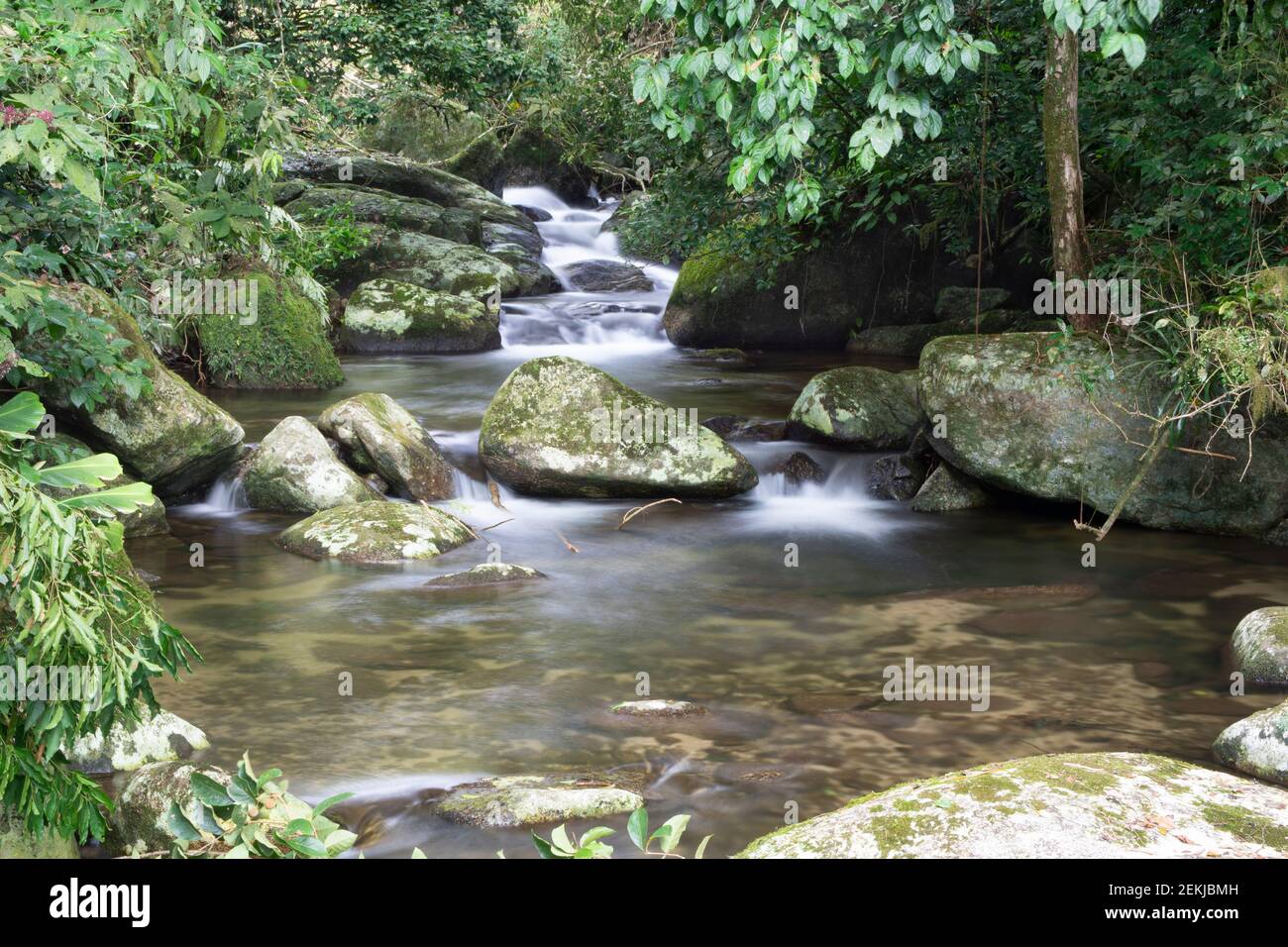 Waterfall and river flowing through a rainforest in Brazil Stock Photo ...