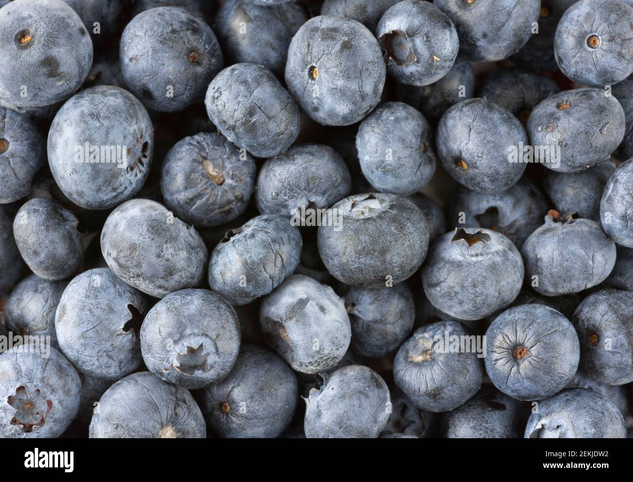 Top view closeup of blueberries Stock Photo - Alamy