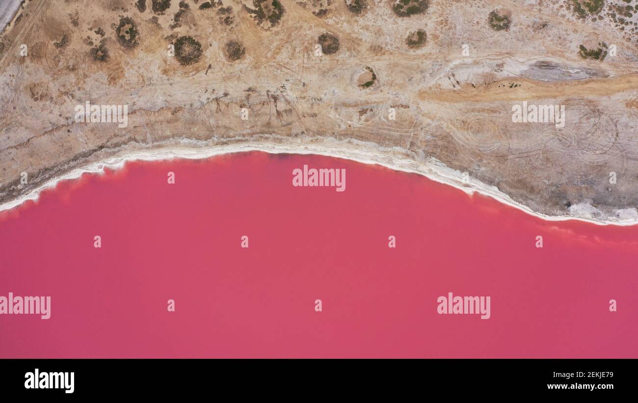 Aerial drone top down photo of a natural pink lake and coast Genichesk ...